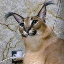 FLOPPA HIGHSCHOOL | Discord Me