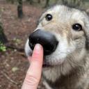 stinky club :3 | Discord Me