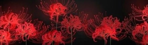 𝕋𝕙𝕖 𝔸𝕚𝕣 𝕋𝕖𝕞𝕡𝕝𝕖 ♡ | Discord Me
